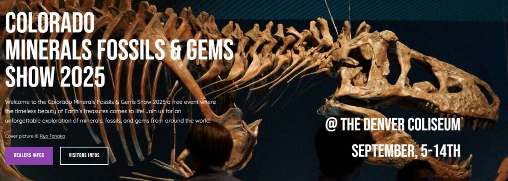 Colorado Minerals Fossils & Gems Show | Denver Gem Show 101