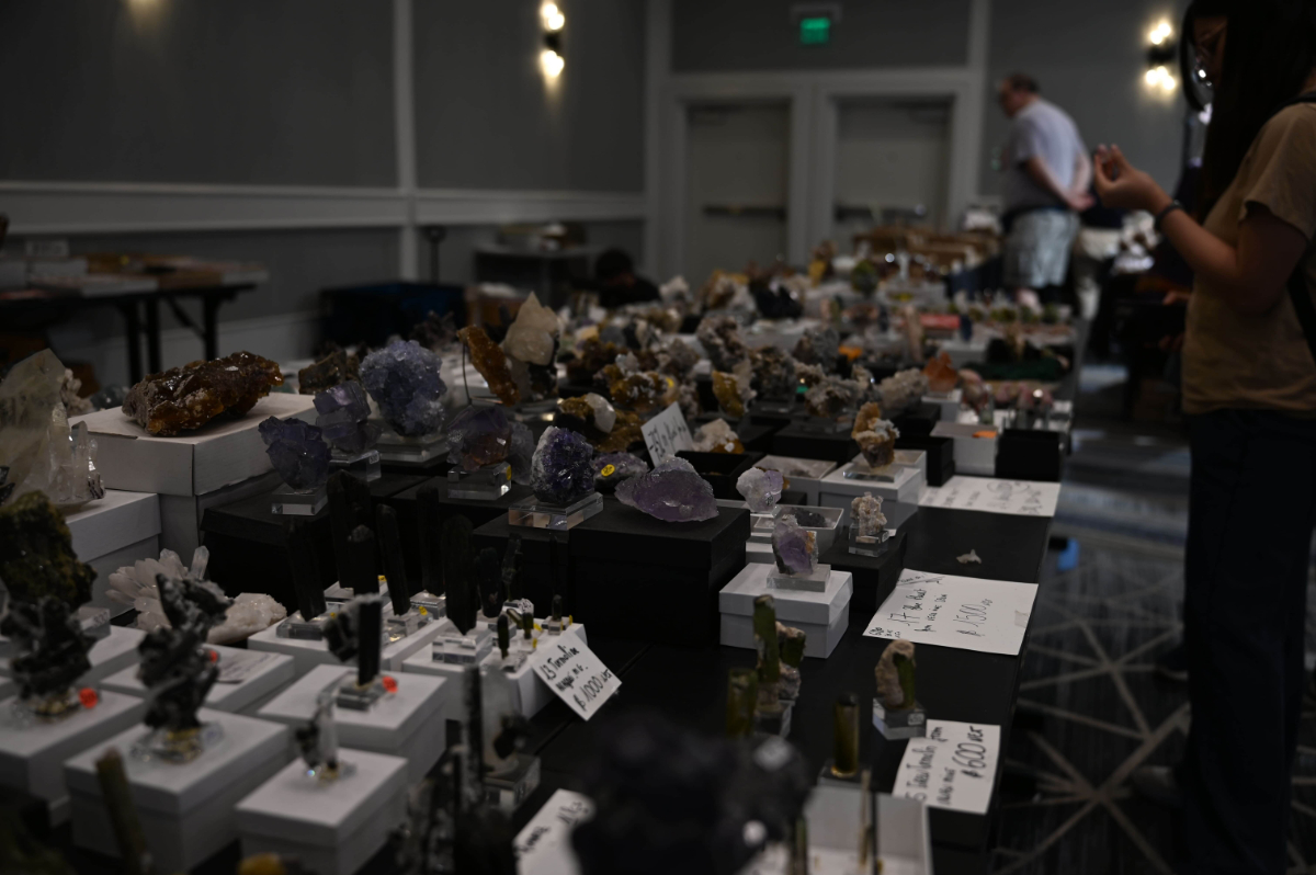 Colorado Mineral and Fossil Show (Spring and Fall) | Denver Gem Show 101
