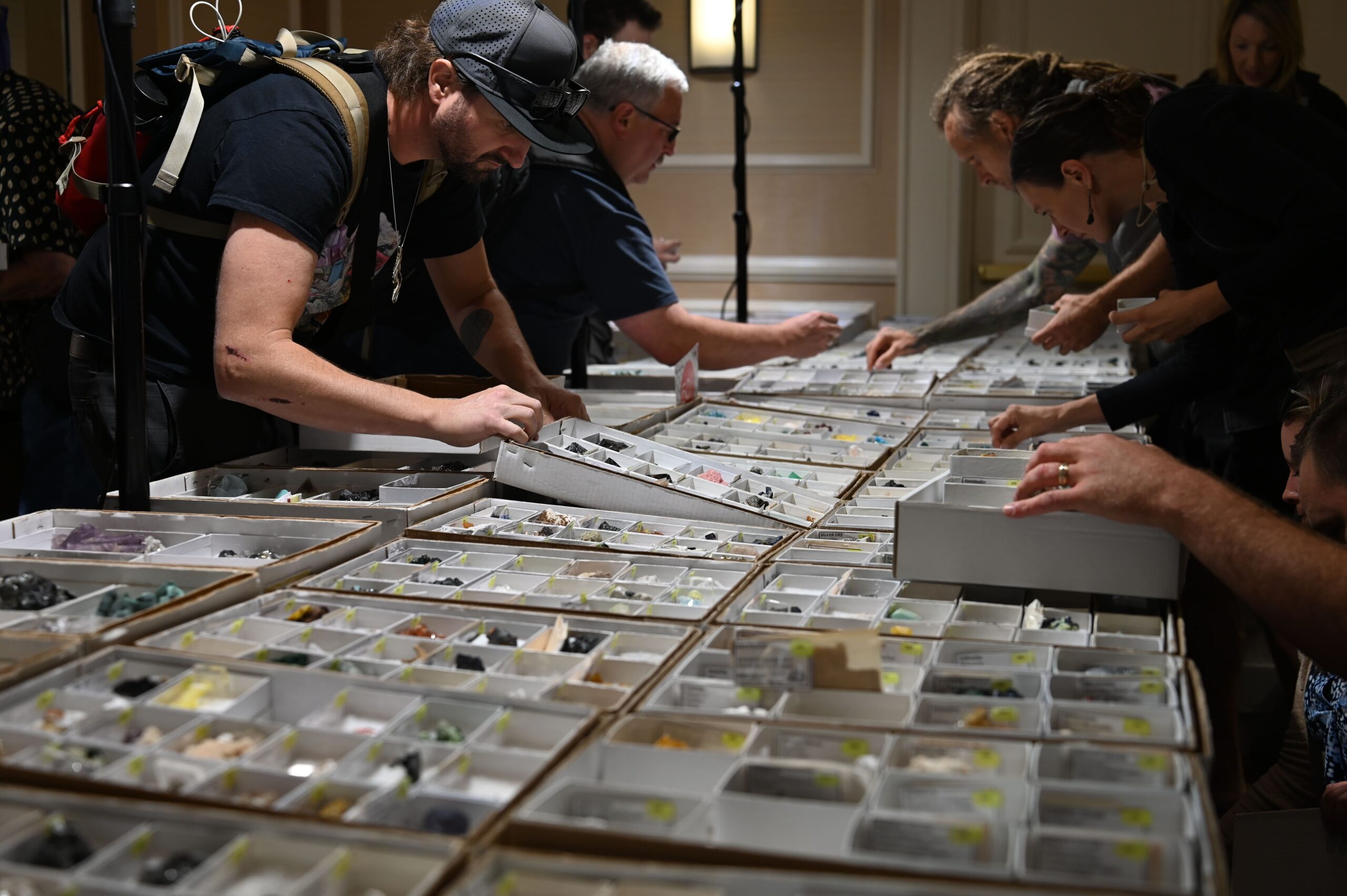 Just Minerals and Crystals Event Denver | Denver Gem Show 101