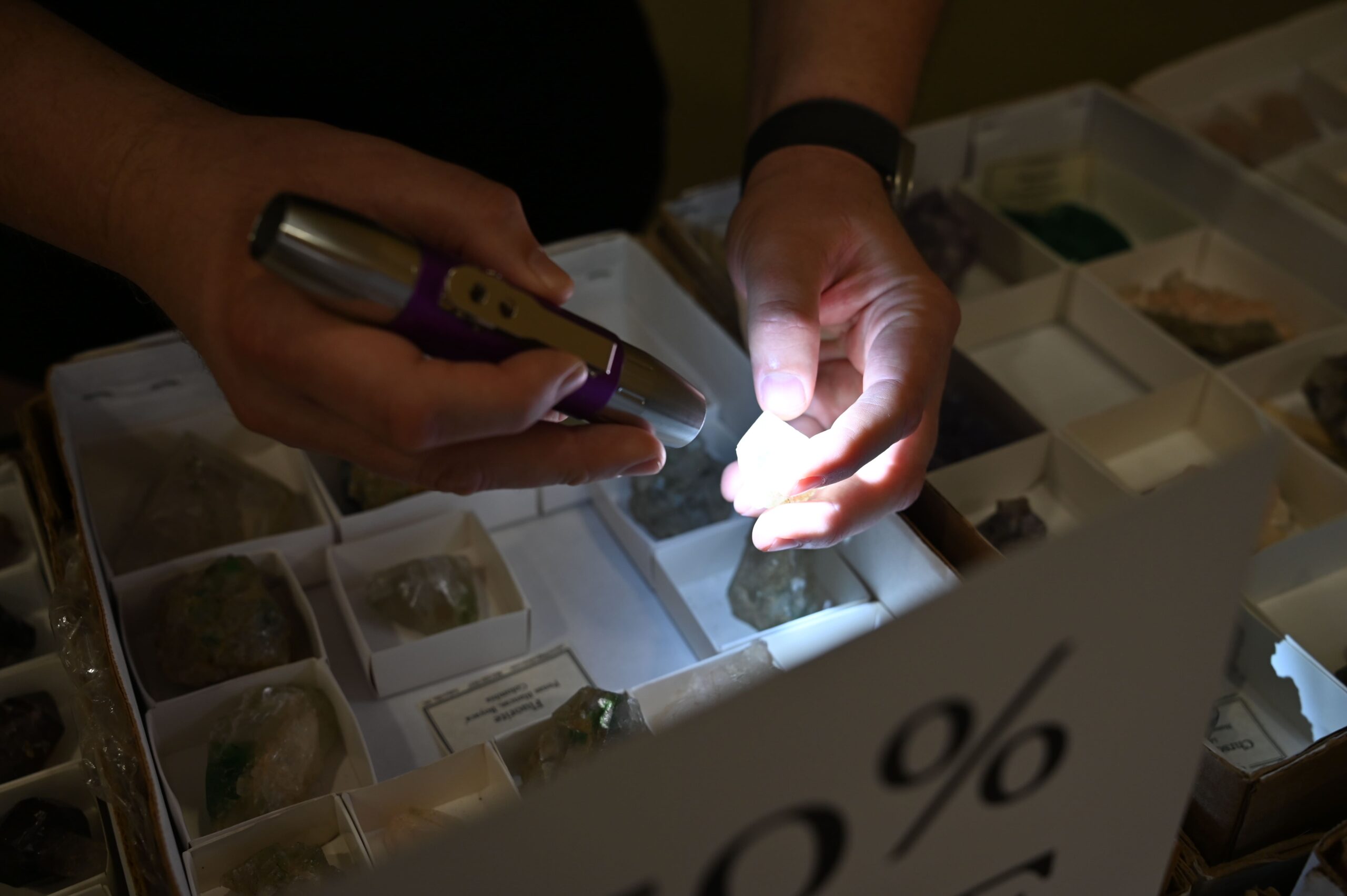 Just Minerals and Crystals Event Denver | Denver Gem Show 101