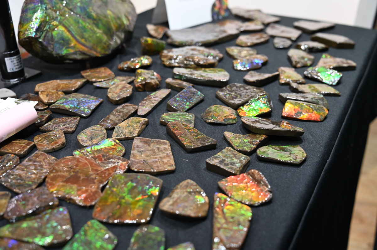 HardRock Summit Denver | Denver Gem Show 101